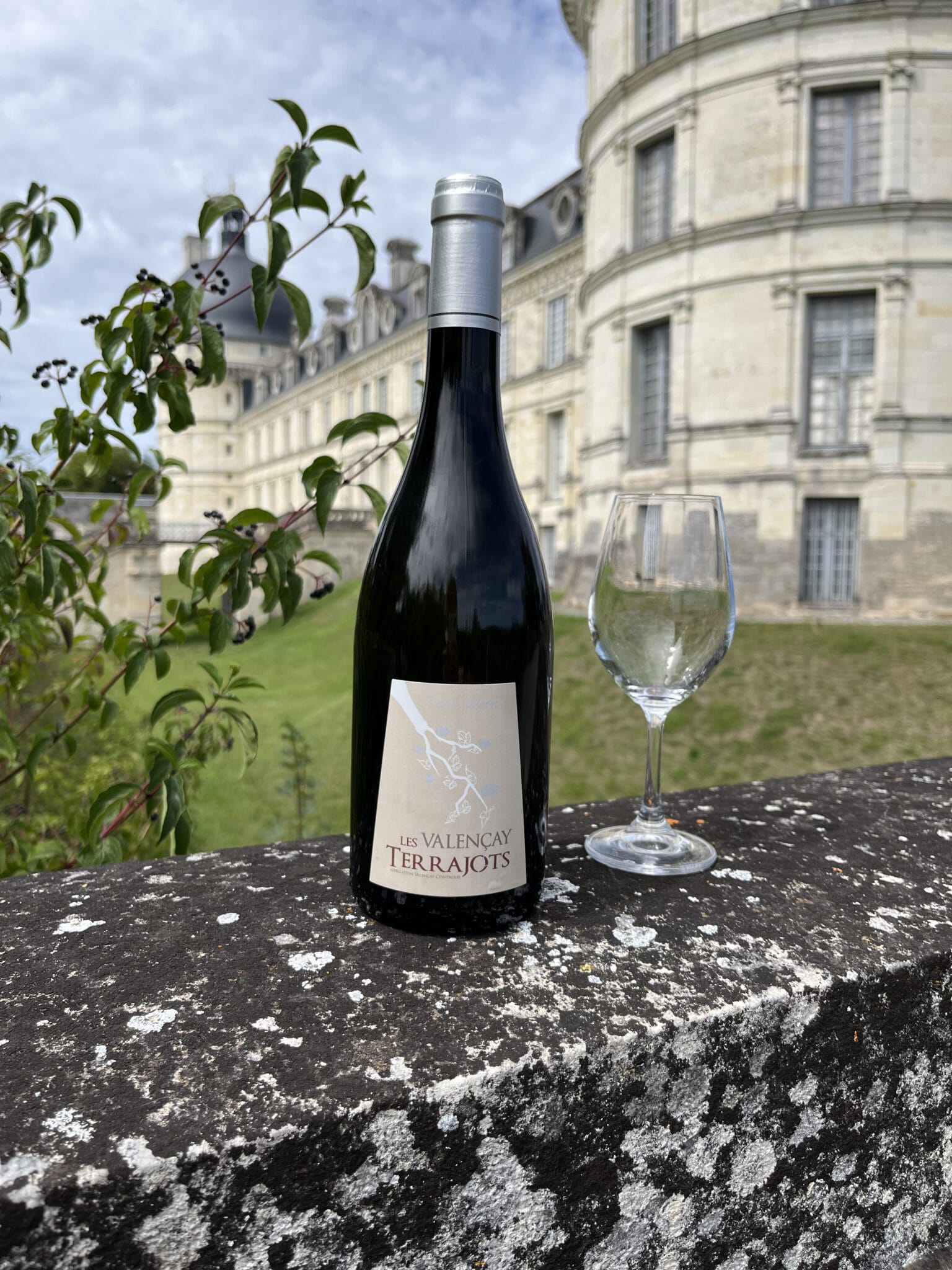Les Terrajots Blanc - Valençay - Vignobles Jourdain